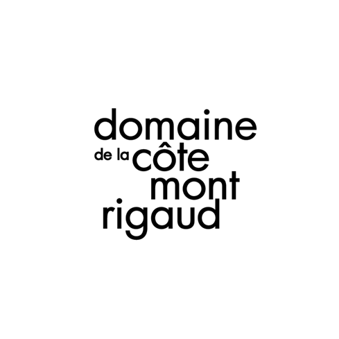 Schéma | Where Creativity Meets Purpose